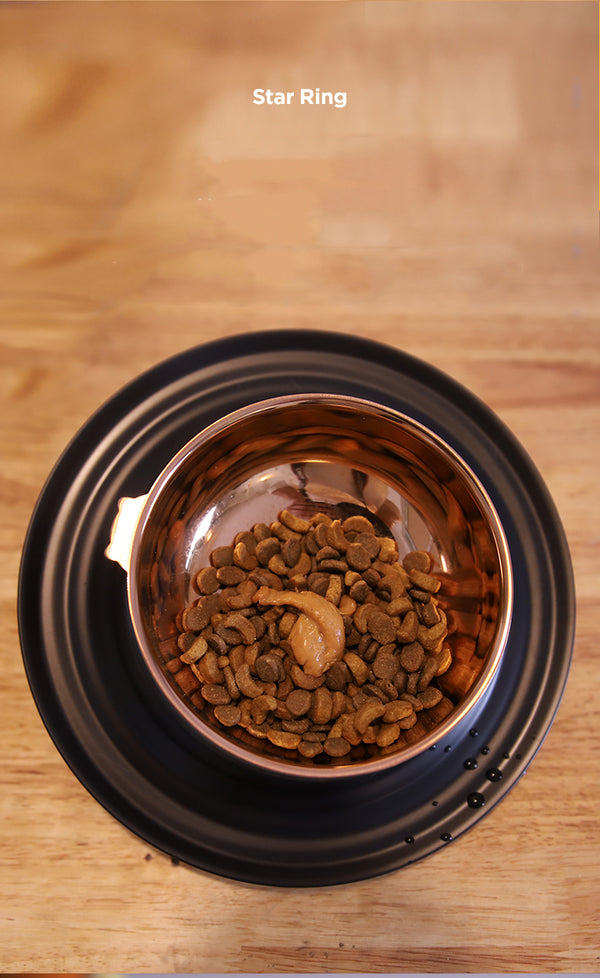 EZ Cat Space Theme Non-Slip Feeder