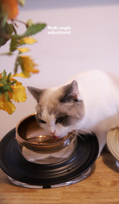 EZ Cat Space Theme Non-Slip Feeder