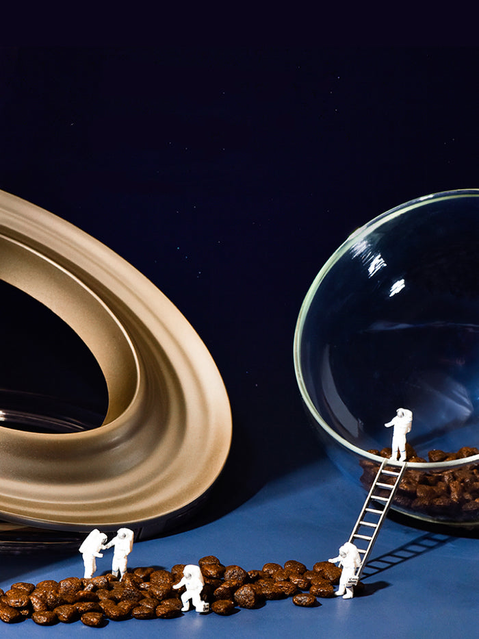 EZ Cat Space Theme Non-Slip Feeder