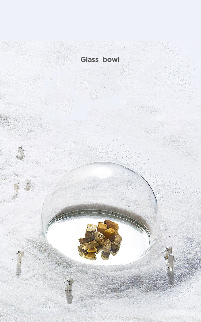 EZ Cat Space Theme Non-Slip Feeder