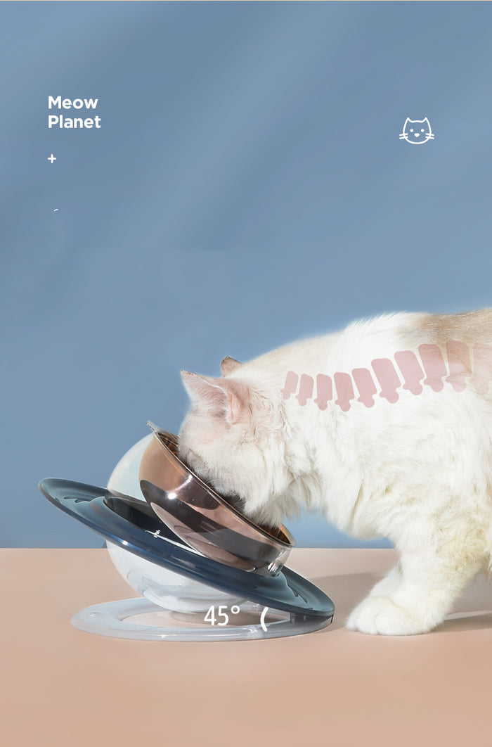 EZ Cat Space Theme Non-Slip Feeder